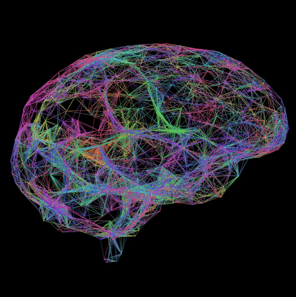 Neuroplasticity: Rewiring the Brain